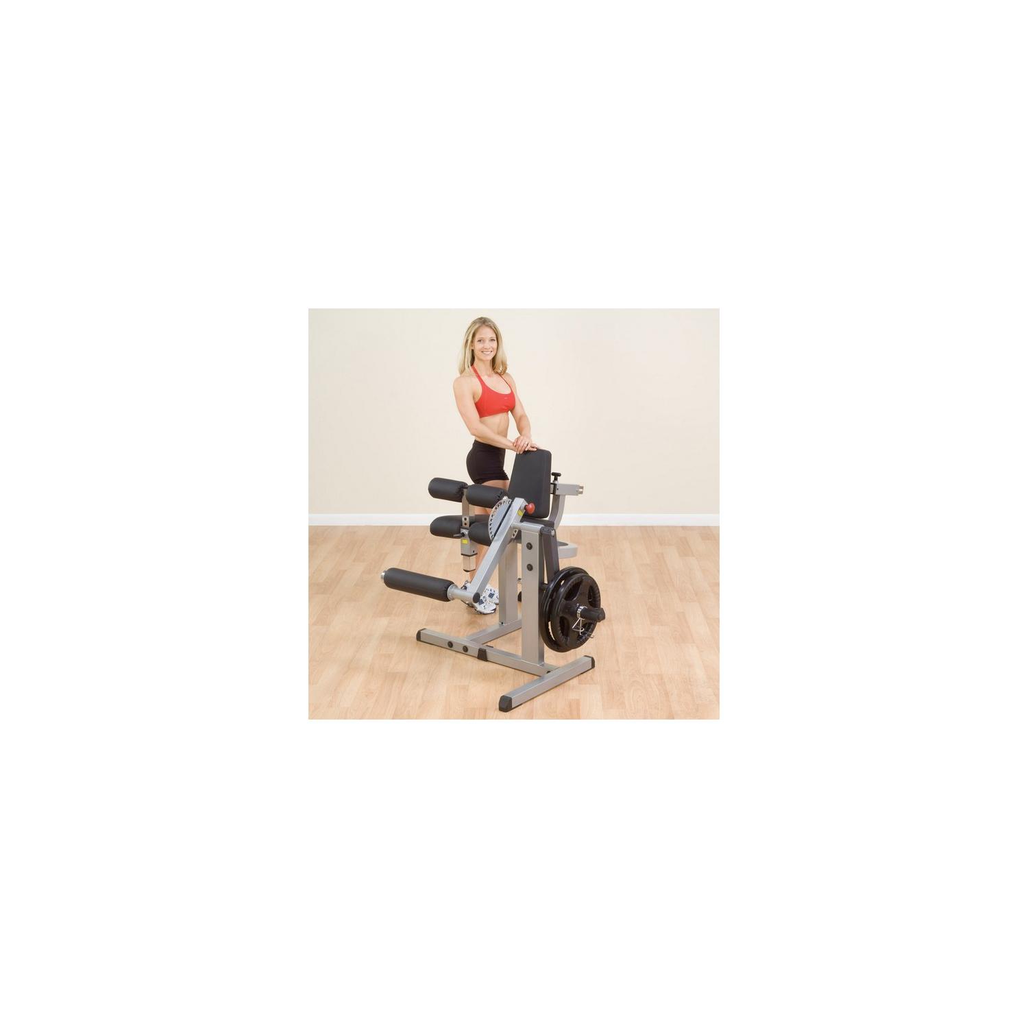 Тренажер сгибание-разгибание ног (маятник) Body Solid GCEC340 на ...